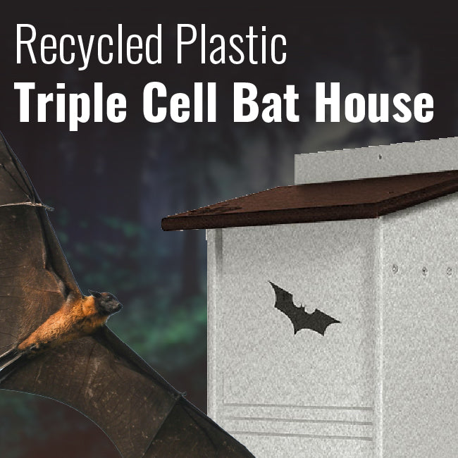 Amish Made Recycled Plastic Triple Cell Bat House, 40 bats