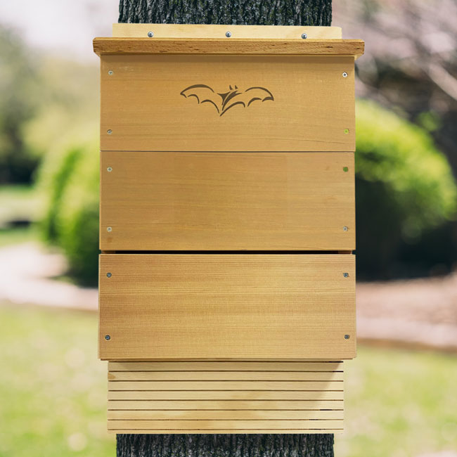 OBC Single Chamber Bat House, SE520, 100 bats | BirdHousesAndBaths.com