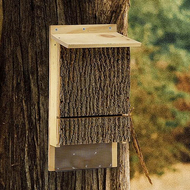 Uncle Dunkel's Single Chamber Bark Clad Bat House, 100 bats