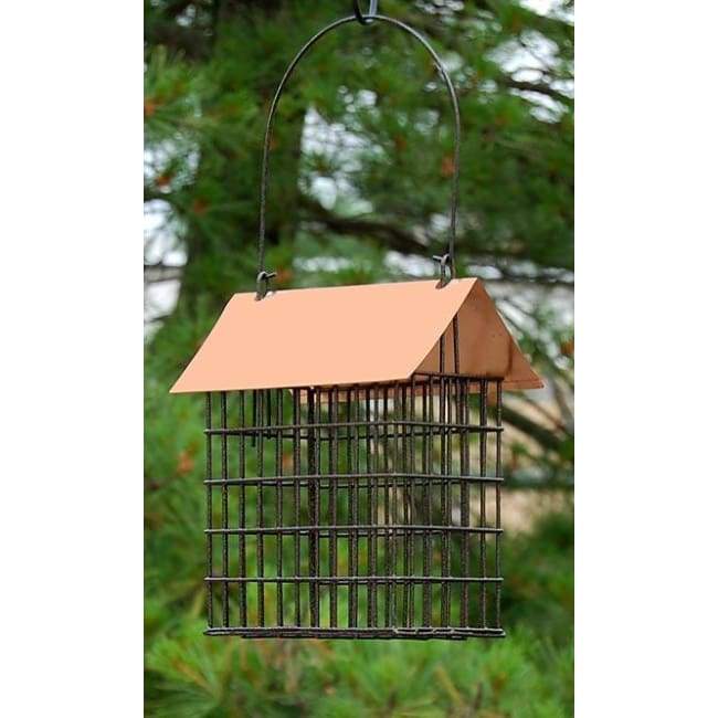 Coppertop Double Suet Cage Bird Feeder